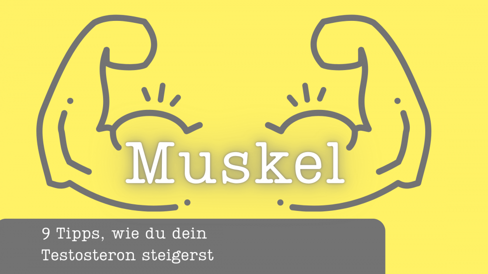 9 Tipps, Wie Du Dein Testosteron Steigerst | Fitlab Stuttgart